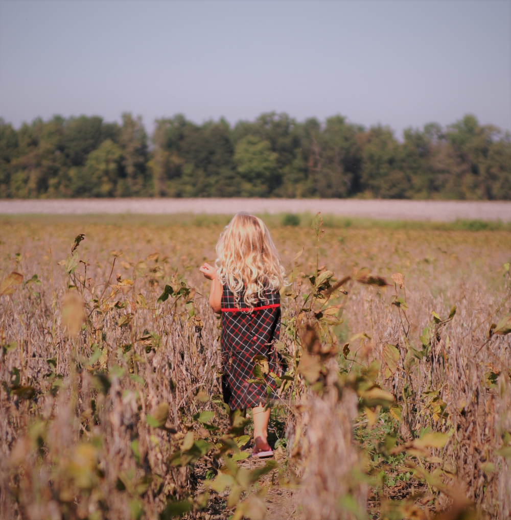 Prairie Bee Wraps: Beeswax Food Wraps & Eco Home Goods