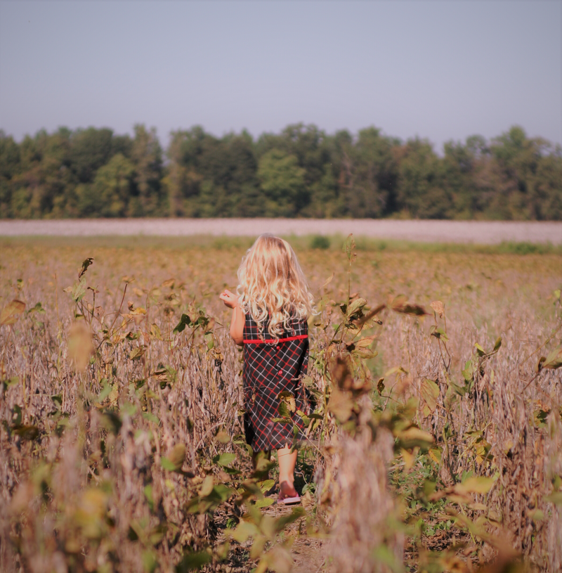 Prairie Bee Wraps: Beeswax Food Wraps & Eco Home Goods