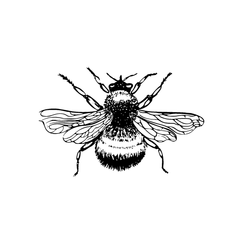 Prairie Bee Wraps: Beeswax Food Wraps & Eco Home Goods